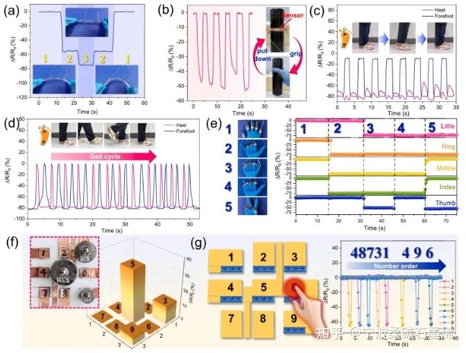 沈航《CEJ》：3D导电碳纳米管/石墨烯-PDMS压力传感器，用于健康监测、可穿戴设备等 - 知乎