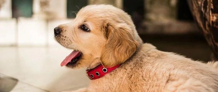 程序员的福音 - Apache Commons HttpClient - 知乎