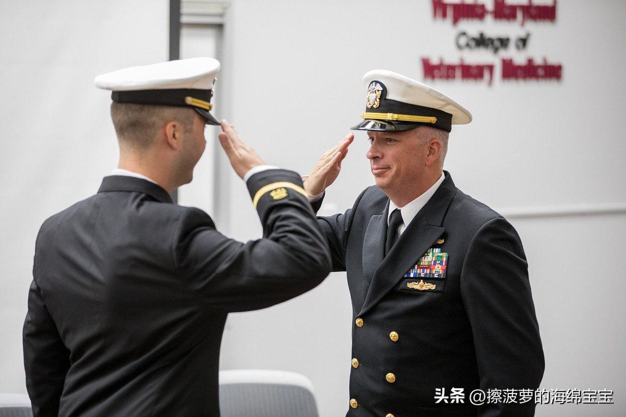 美国公共卫生服务军官团军衔详解 - 知乎