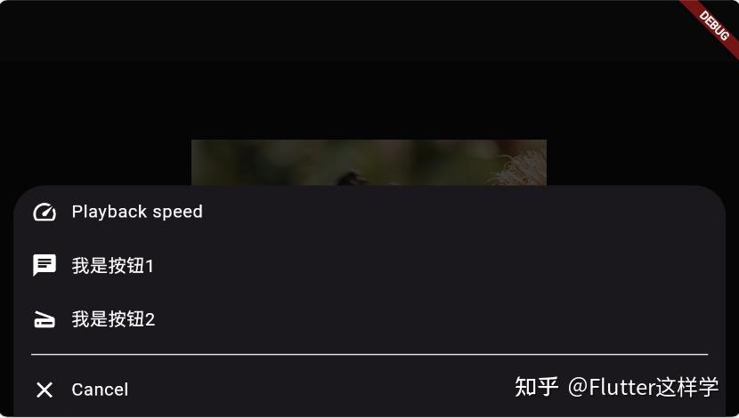 Chewie，一个号称是金子的Flutter视频播放插件 - 知乎