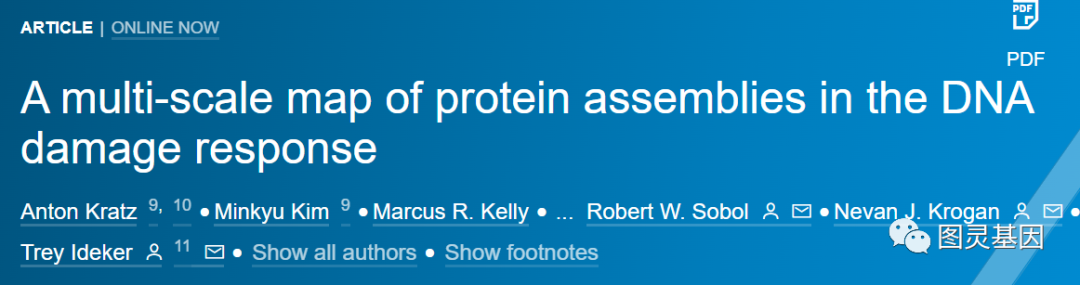 Cell Sys | UCSD医学院多尺度系统绘制DNA损伤反应图谱 - 知乎