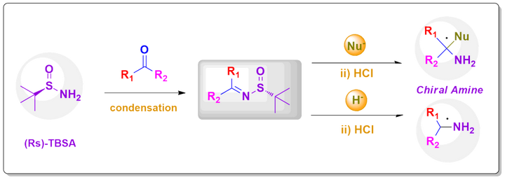 多功能用途的叔丁基亚磺酰胺（TBSA） - 知乎