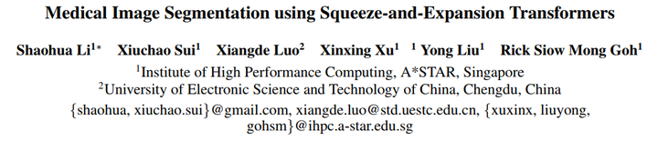Medical Image Segmentation using Squeeze-and-Expansion Transformers（阅读 ...
