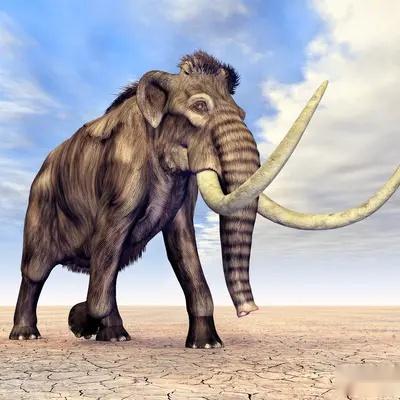 终于知道飞碟来自哪里了？它们来之土巨人的空中堡垒 - 知乎