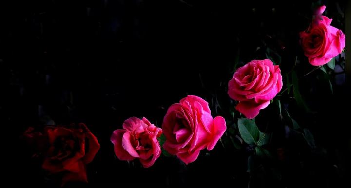 三叔谈谈：切忌口无遮拦，一定要懂得避谶 - 知乎