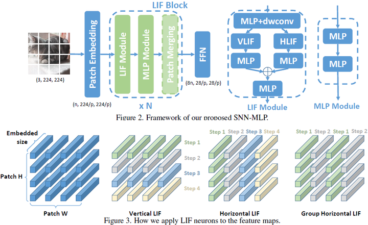 CVPR22 | 已开源 | SNN-MLP：类脑网络融入主流架构的成功尝试 - 知乎