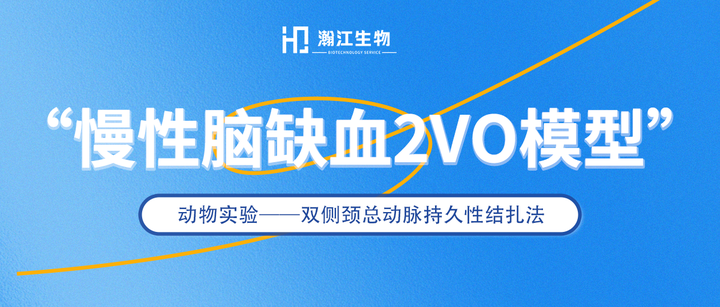 大鼠慢性脑缺血2VO模型——双侧颈总动脉持久性结扎 - 知乎