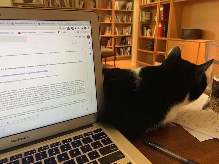 Python pdf Python pdf