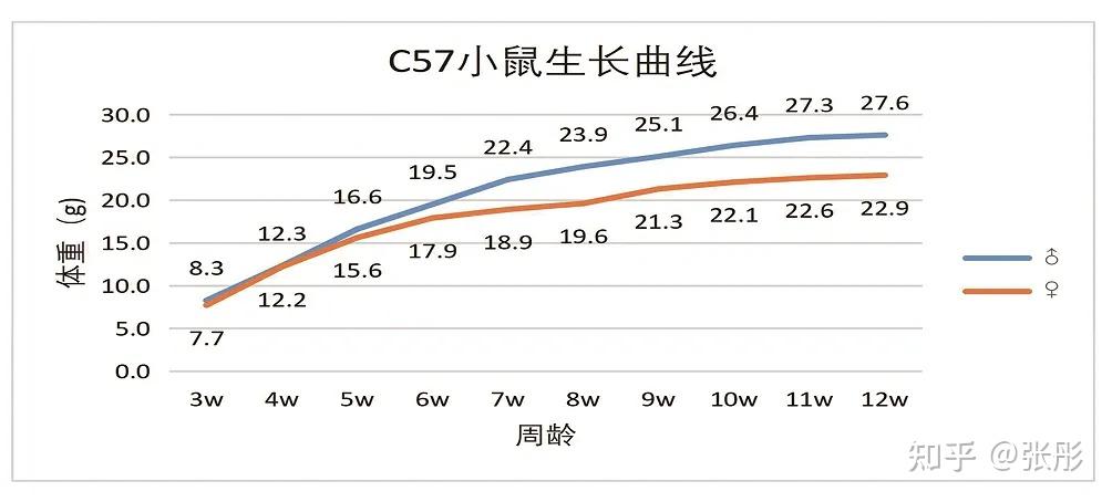 C57BL/6小鼠百科资料整理｜最全C57小鼠知识资料 - 知乎