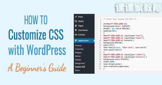 初学者指南：如何用WordPress定制CSS - 知乎