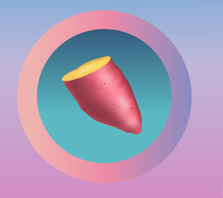 三分钟带你了解红薯（Yam） - 知乎