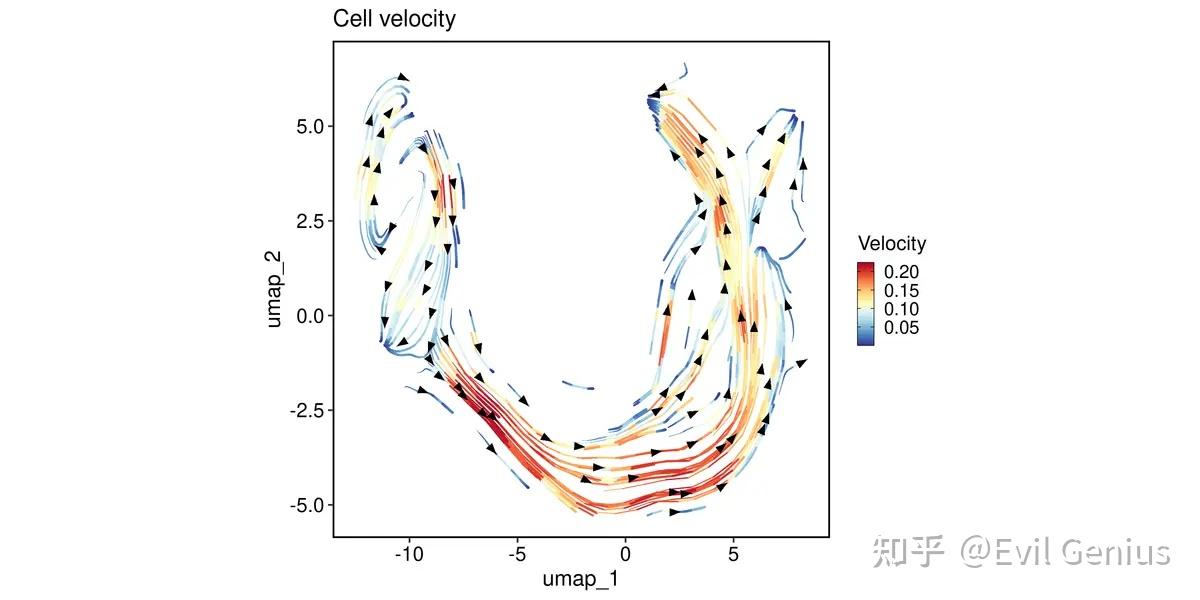 内容补充---单细胞轨迹分析（SCP） - 知乎