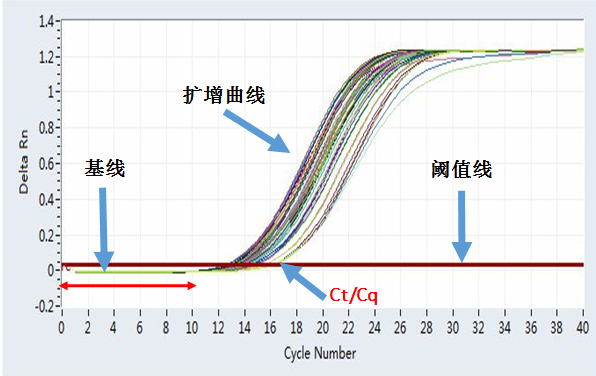 荧光定量PCR介绍 - 知乎