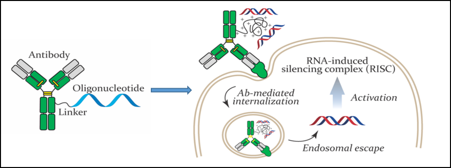 AOCs体外药理综合平台, 为早期发现提供了全面的解决方案 - 知乎