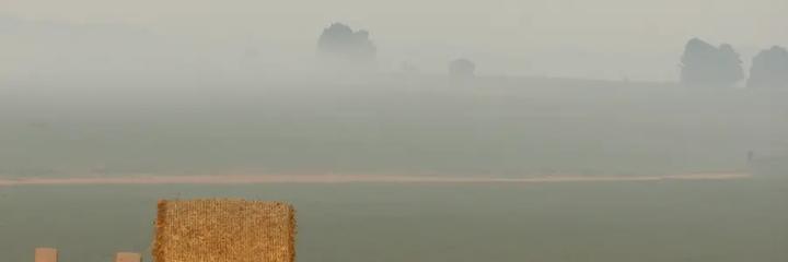 一起了解 .Net Foundation 项目 No.10 - 知乎