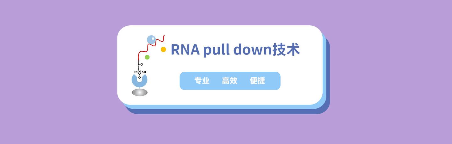 RNA pulldown实验技术原理—RNA pull-down实验步骤流程图 - 知乎