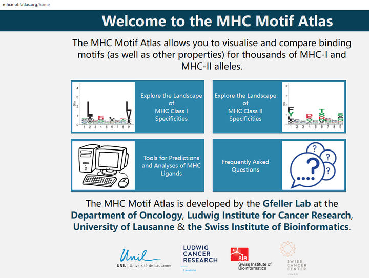 MHC基序图谱库：MHC结合特异性和配体数据库 - 知乎