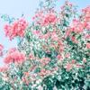 Journal of Visual Communication and Image Representation期刊投稿历程与时间节点 - 知乎