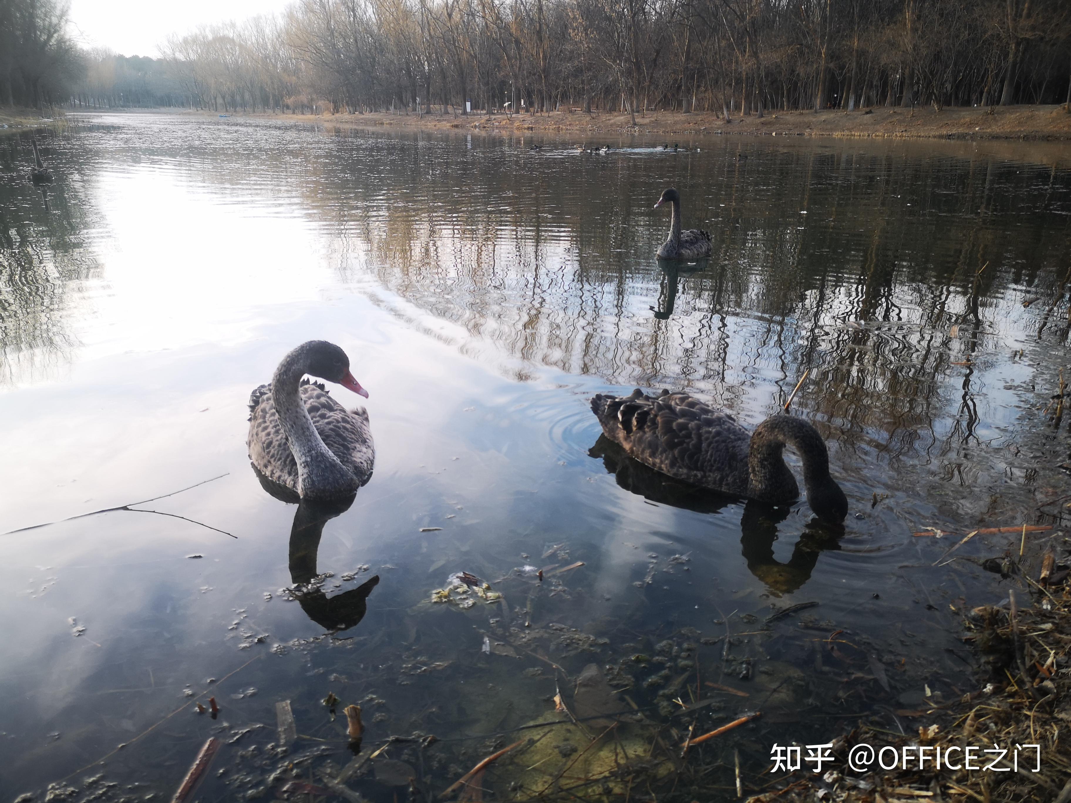 Apache、Tomcat、Negix的关系 - 知乎