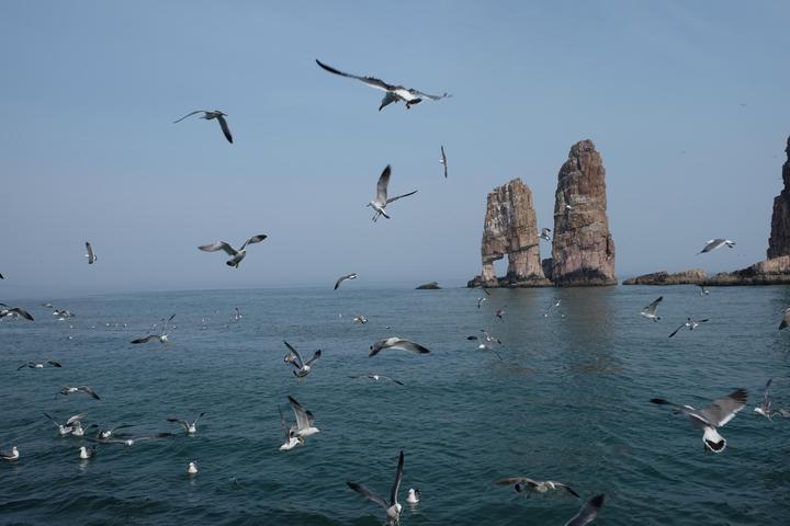 miniblink使用小结 - 知乎