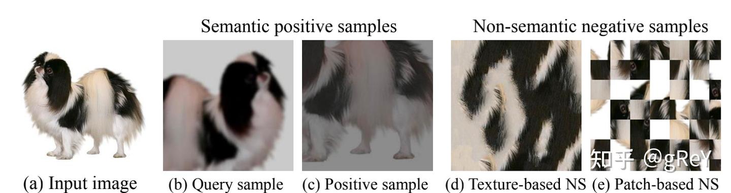 Robust Contrastive Learning Using Negative Samples with Diminished Semantics - 知乎