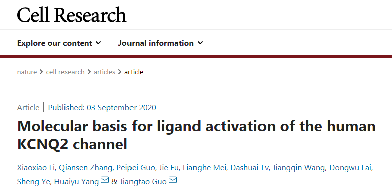 重大进展！Cell子刊揭示配体激活人源KCNQ2通道的分子基础 - 知乎