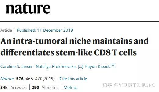 《Nature》：CD8+T能为前线输送战略力量？ - 知乎