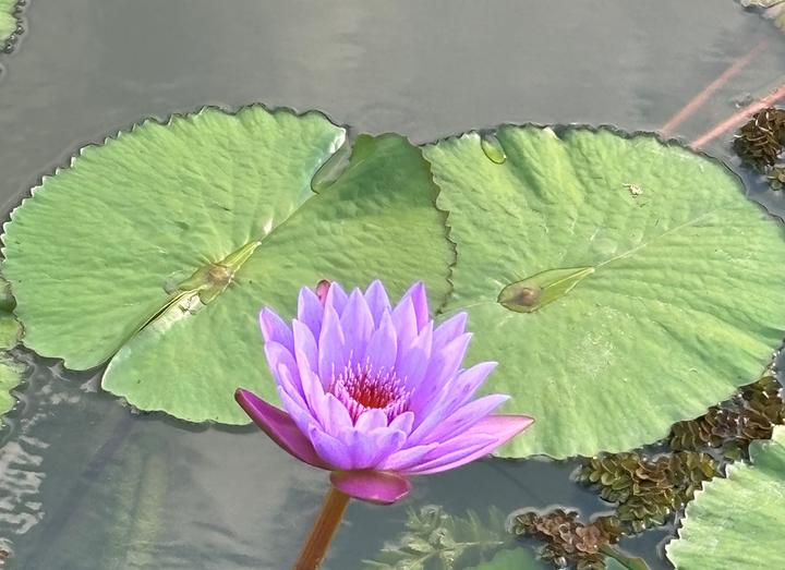 bochs的安装与使用 - 知乎