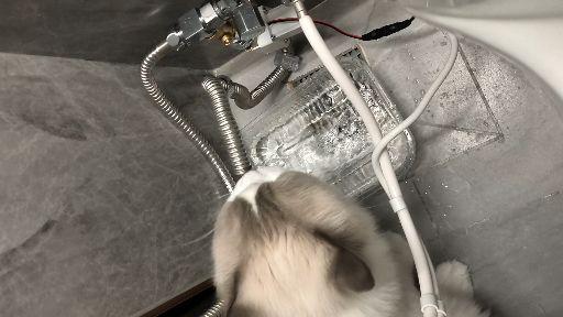 我的猫咪饮水机进化史 知乎