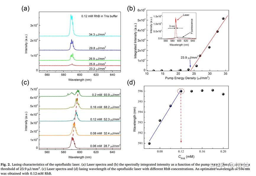 Turbidimetric inhibition immunoassay revisited to enhance its ...