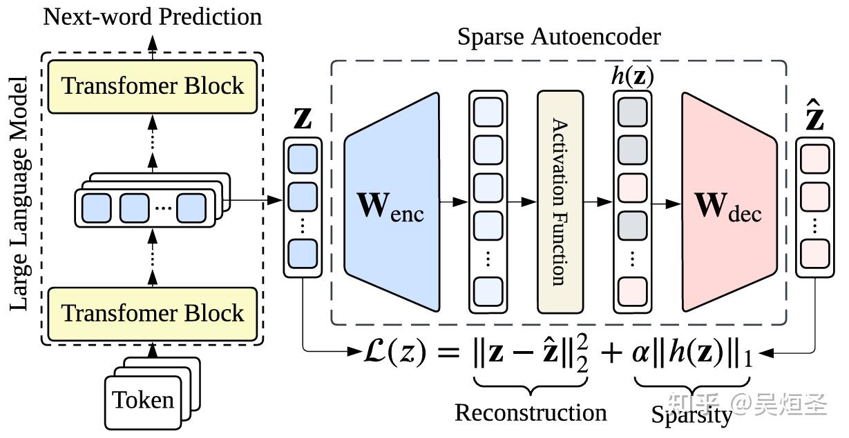 聊聊Sparse Autoencoder对于LLM解释性的重塑 - 知乎