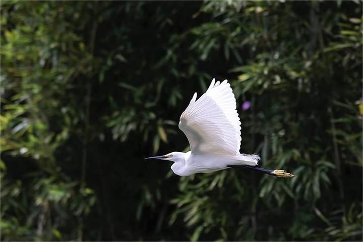 第5节：Borel 集 - 知乎