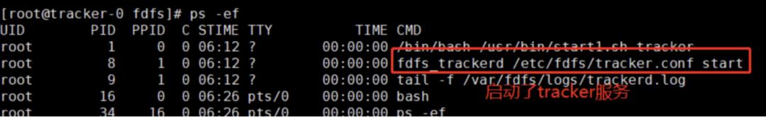 k8s安装fastdfs - 知乎