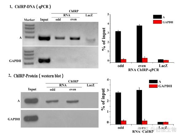 CHIRP技术详解 - 知乎