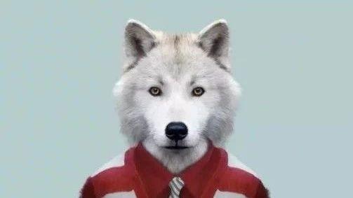 ANSA零基础第二弹——GUI - 知乎