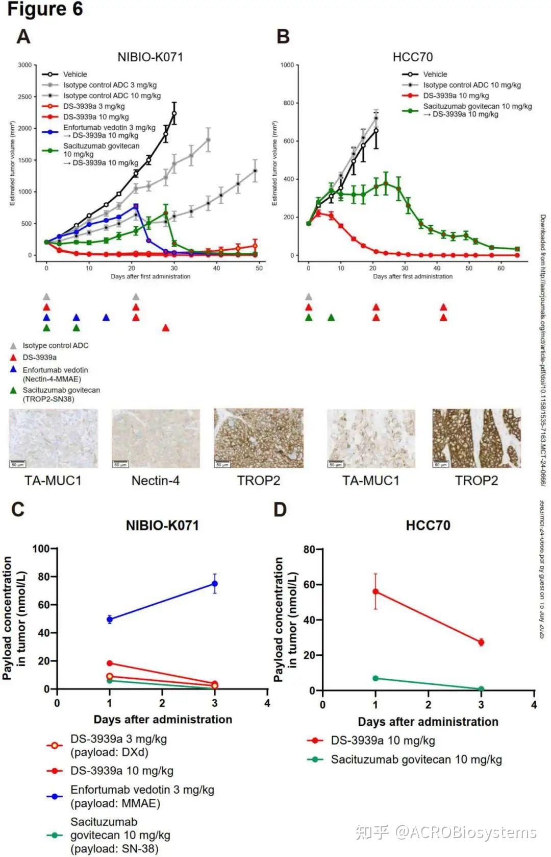 重塑ADC疗效路径：TA-MUC1让药物更准、更快、更有效 - 知乎