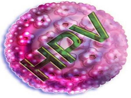 宫颈癌筛查：HPV和TCT检查报告，各项指标详细解读！ - 知乎