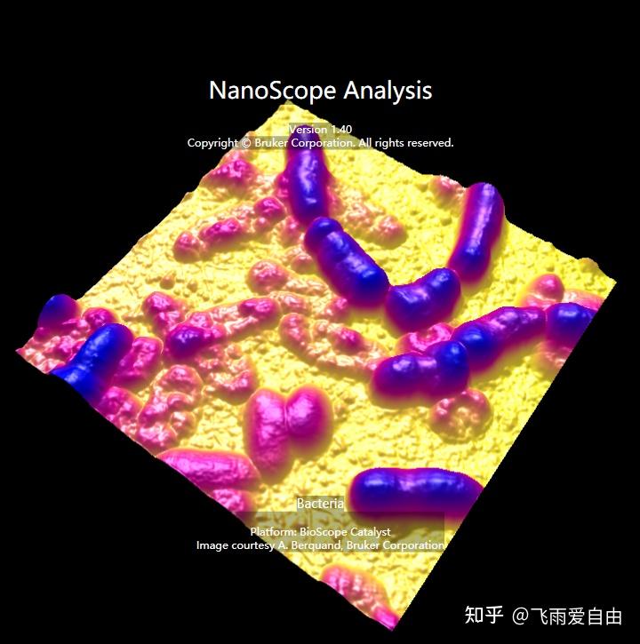 Nanoscope Analysis怎么分析? - 知乎
