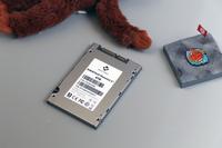 七彩虹推出 MEOW ME700“萌宠”SSD 固态硬盘，7.4GB/s读速、TLC颗粒 首发价349元起 - 知乎