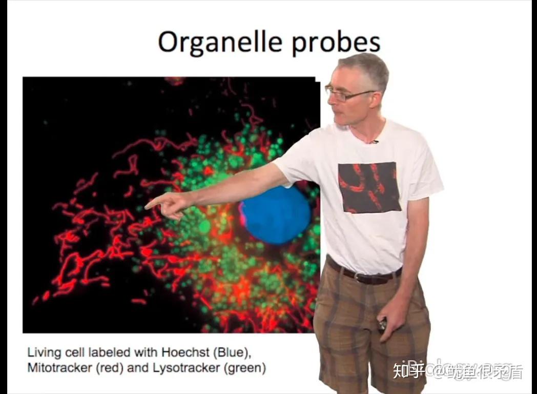 博士期间换了新的方向，基础补多久合适呢？ - 知乎