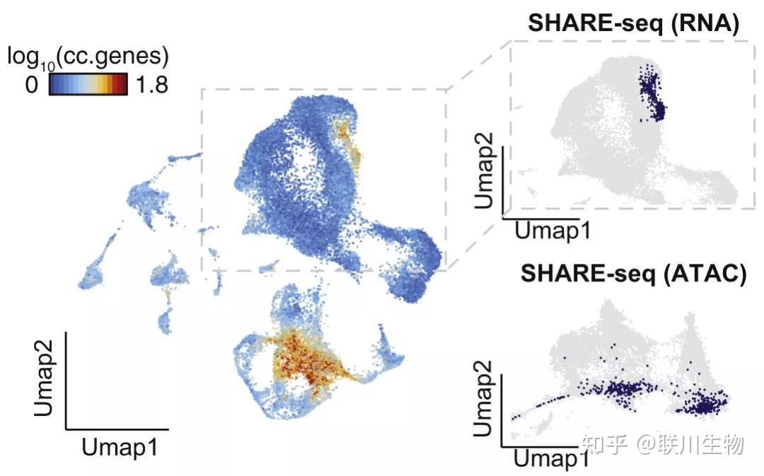 【干货】高分SCI要用tSNE还是UMAP？ - 知乎