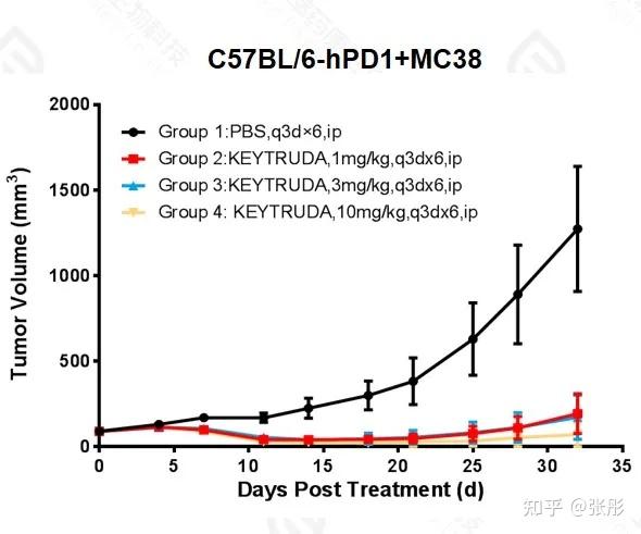 BALB/c Mice | BALB/c小鼠最全知识资料 - 知乎