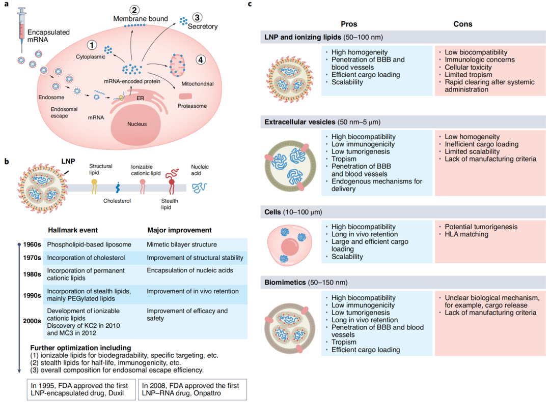 Cre-loxP妙用，可视化mRNA递送 - 知乎