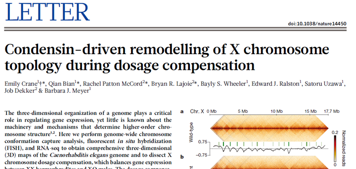 TAD calling 之 insulation score 分析 - 知乎
