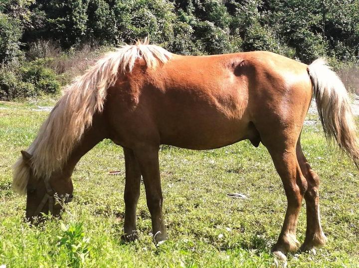 请让伯乐发现并重用你 - 知乎