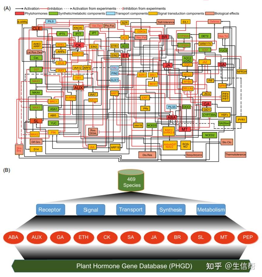 基因家族｜PHGD是一个植物激素相关基因数据库 - 知乎