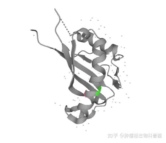 肿瘤标志物科普系列--CA125升高原因分析 - 知乎