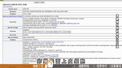 IOSE-80细胞培养，人正常卵巢上皮细胞培养攻略 - 丰晖生物 - 知乎