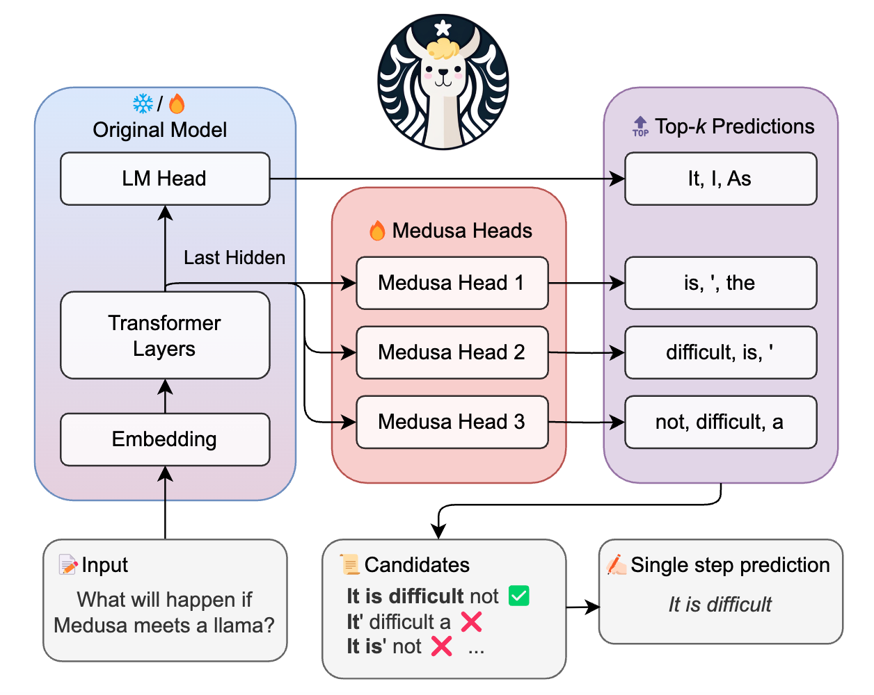LLM推理加速(三): Medusa投机采样 - 知乎