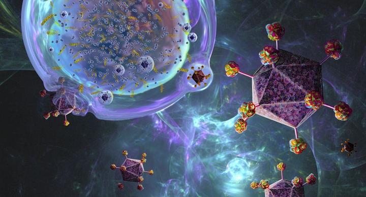 Sci Immu | 中山大学团队发现：线粒体-内质网接触支持肿瘤中的CD8+T细胞代谢适应性和功能 - 知乎